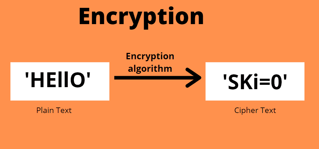 RSA Encryption Implementation in Python - Python Pool RSA Encryption Implementation in Python - Python Pool
